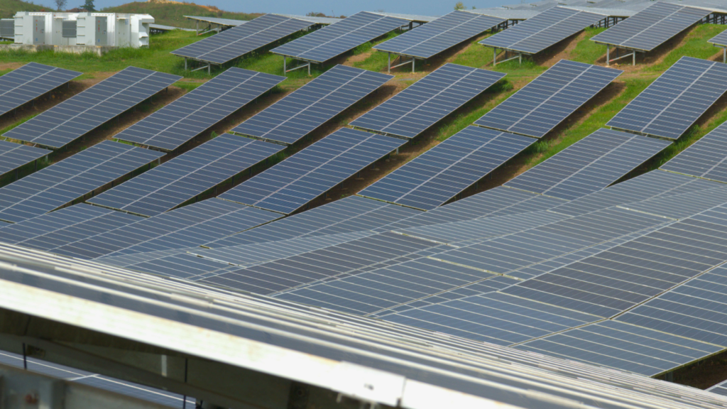 Infinigen culture nurtures health and safety, fosters cohesiveness ...